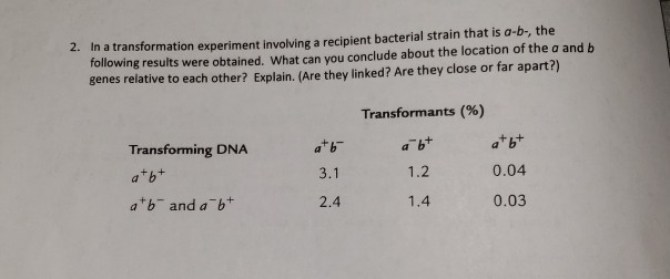 Solved In a transformation experiment involving a recipient | Chegg.com