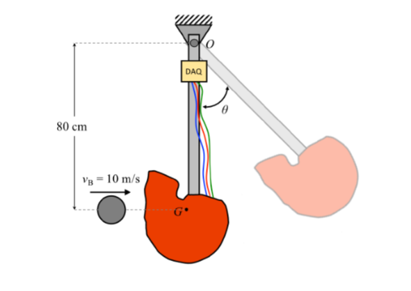 Solved In an experiment to study a head impact scenario, | Chegg.com