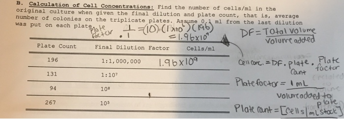 Solved Calculation of cell concentrations: Find the number | Chegg.com