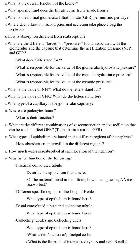 Solved 1. What is the overall function of the kidney? 2. | Chegg.com