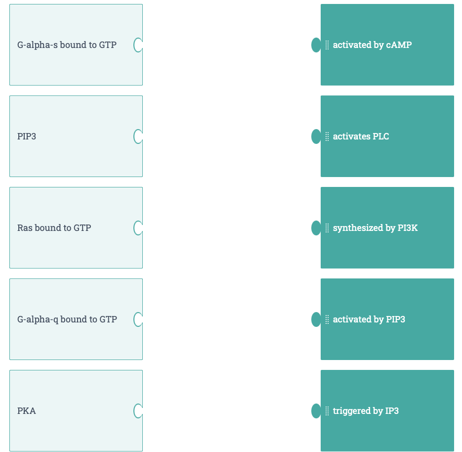 Solved G-alpha-s bound to GTP Ras bound to GTP G-alpha-q | Chegg.com