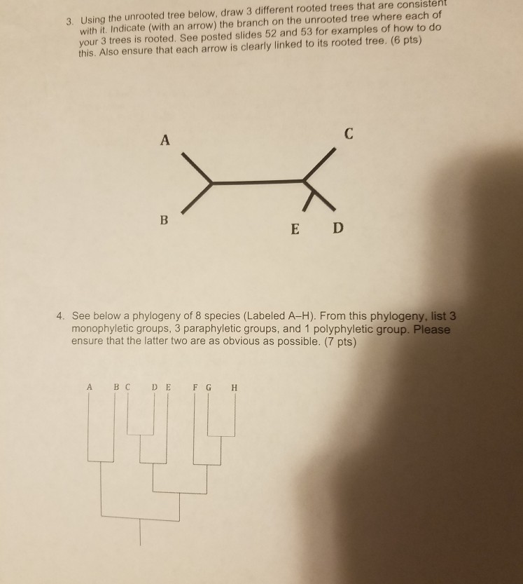 Solved 3. Using the unrooted tree below, draw 3 different | Chegg.com