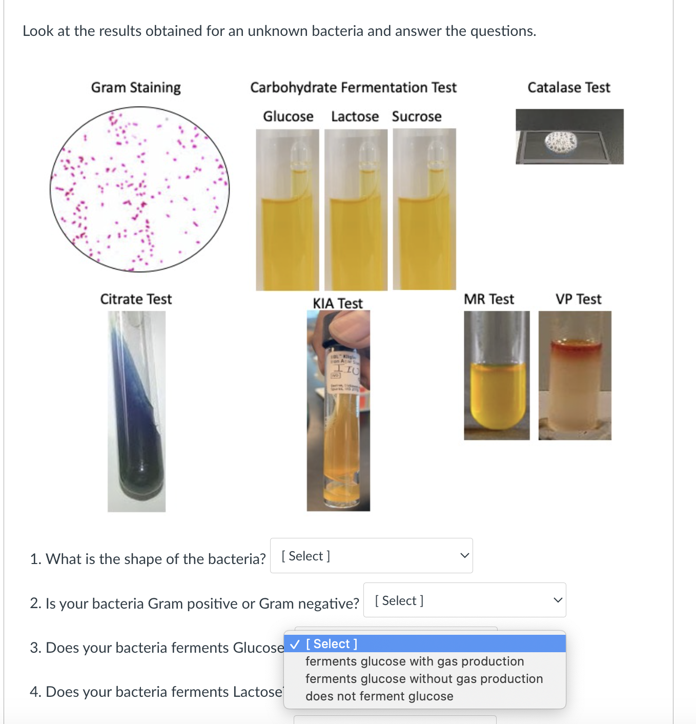 Solved In this first part, you are given results of a series | Chegg.com