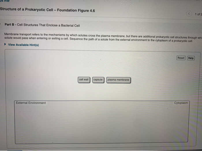 Solved This activity requires that you sort cell structures | Chegg.com