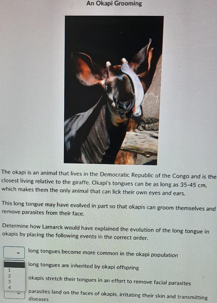 Solved The okapi is an animal that lives in the Democratic | Chegg.com