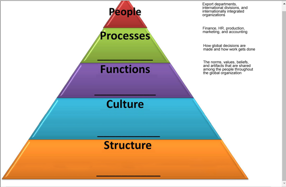 Solved Drag each description to the correct level of the | Chegg.com
