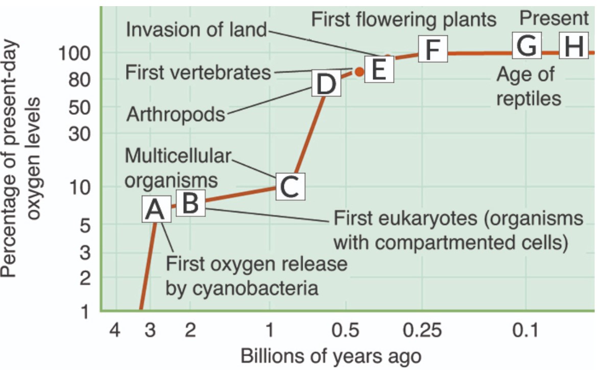 Solved Life continuously supplies oxygen to Earth’s | Chegg.com