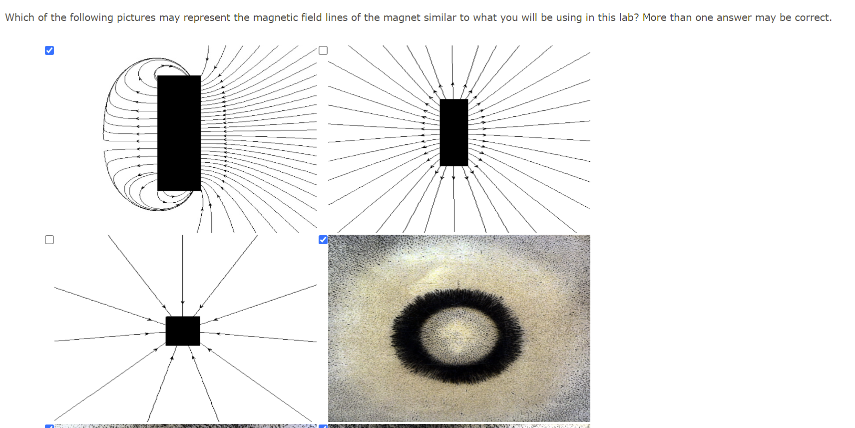 Solved You will be using the magnetic field of a bar magnet | Chegg.com