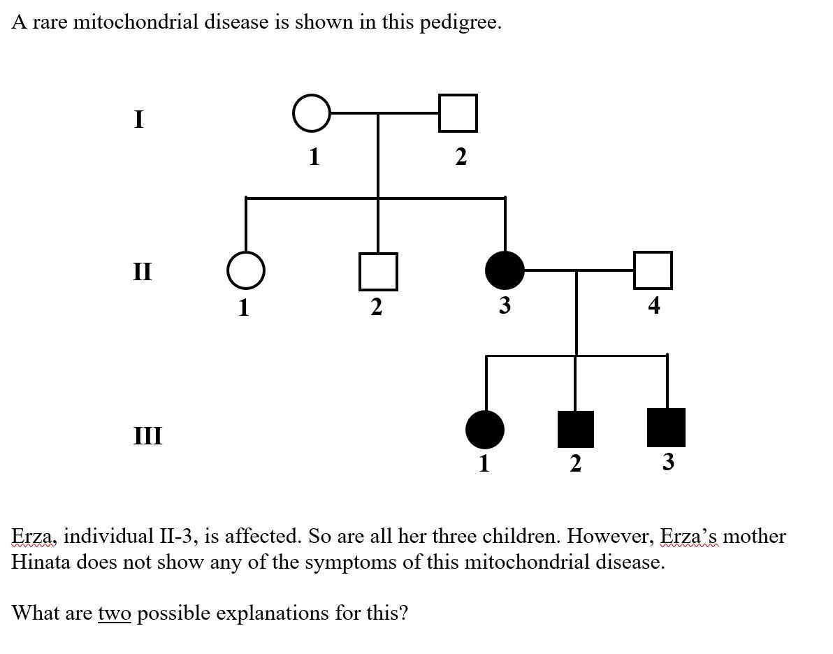 Solved A rare mitochondrial disease is shown in this | Chegg.com