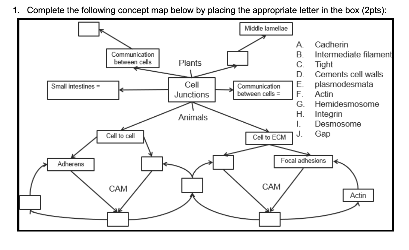 Cell Communication Concept Map - Aurlie Philippa Cell Communication Concept Map - Aurlie Philippa