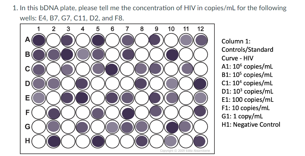 Solved 1. In this bDNA plate, please tell me the | Chegg.com