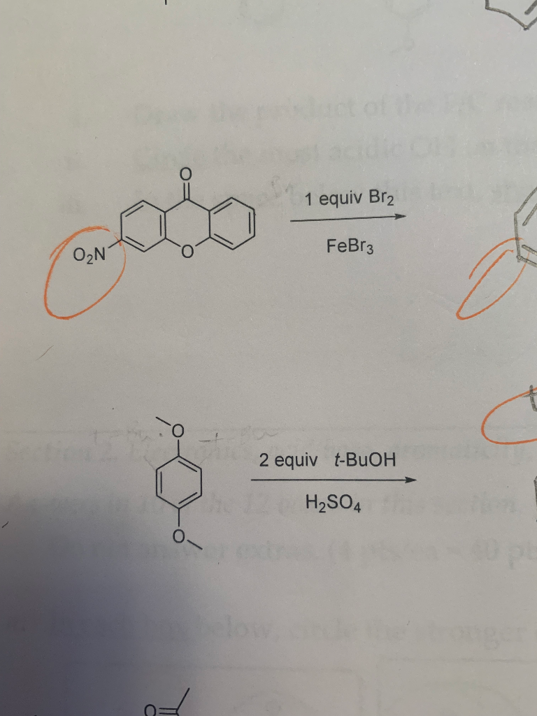 Solved 1 equiv Br2 FeBr 3 ON 2 equiv t-BuOH H2SO4 | Chegg.com