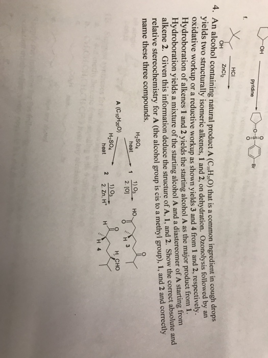 Solved pyridine HCI ZnCl2 alcohol containing natural product | Chegg.com