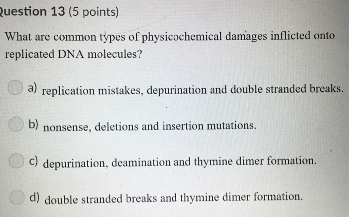 Solved uestion 13 (5 points) What are common týpes of | Chegg.com Solved uestion 13 (5 points) What are common týpes of | Chegg.com