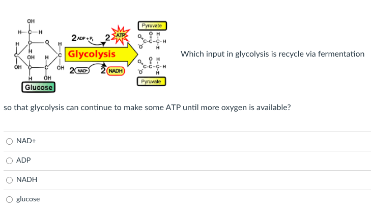 Solved What is the proper order of glycolysis from reactant | Chegg.com