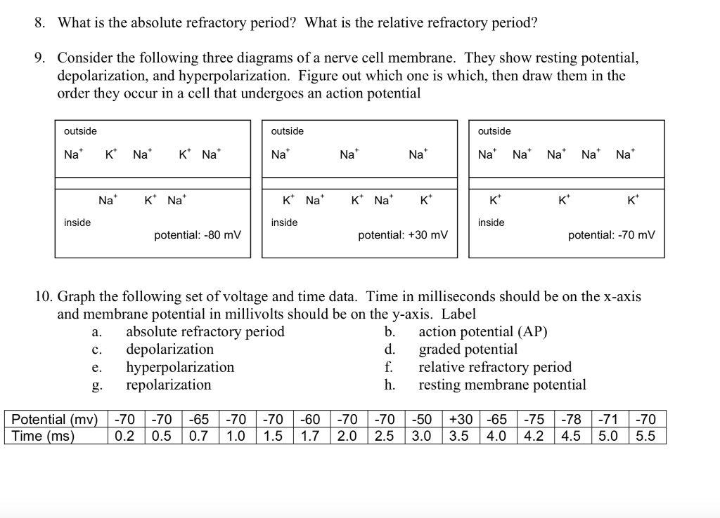 Solved 8. What is the absolute refractory period? What is | Chegg.com