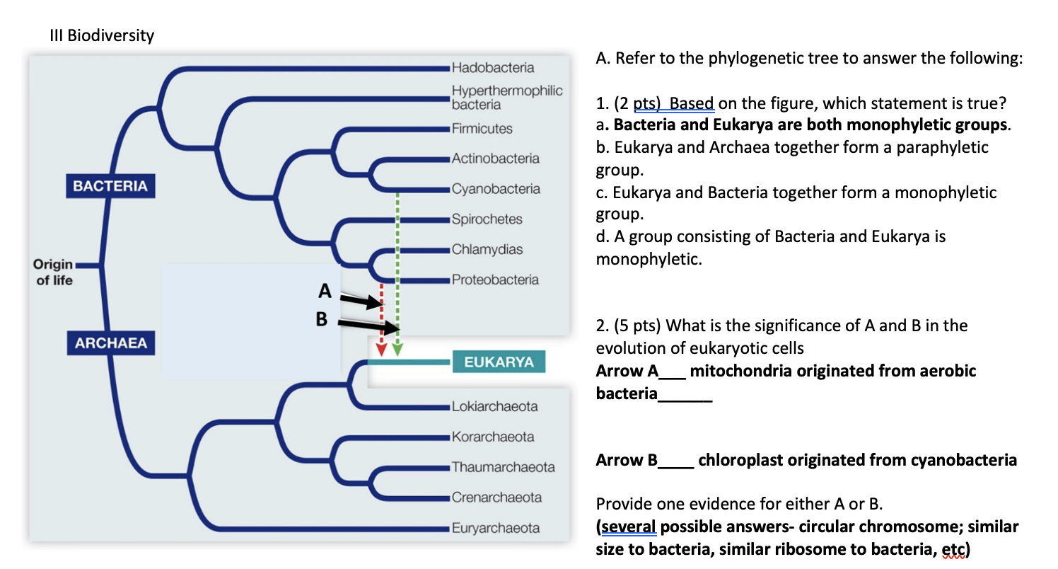 Solved III Biodiversity A. Refer to the phylogenetic tree to | Chegg.com