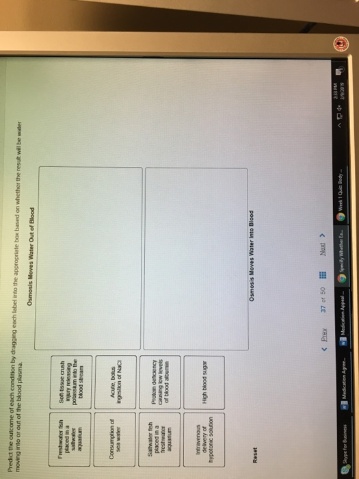 Solved Predict the outcome of each condition by dragging | Chegg.com