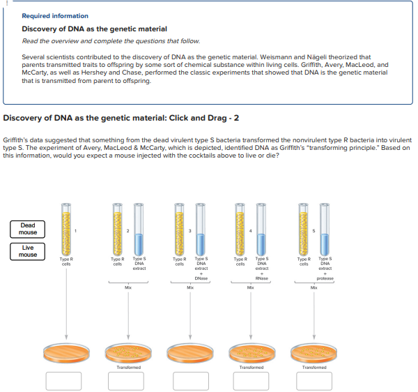 Solved Required information Discovery of DNA as the genetic | Chegg.com