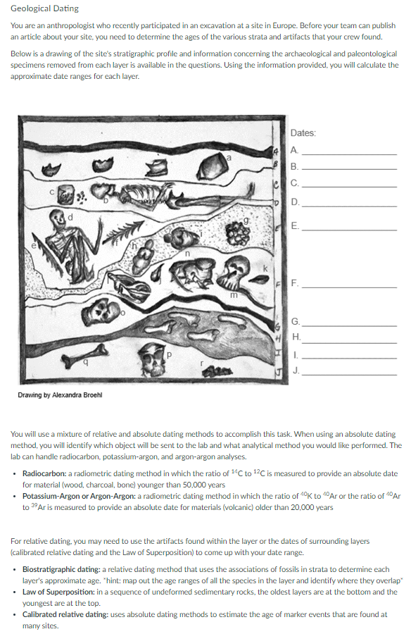 Solved Geological Dating You are an anthropologist who | Chegg.com