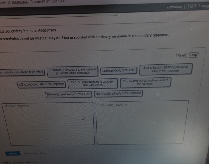 Solved Secondary Immune Responses aracteristics based on | Chegg.com