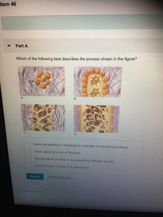 Solved tem 46 Part A Which of the following best describes | Chegg.com