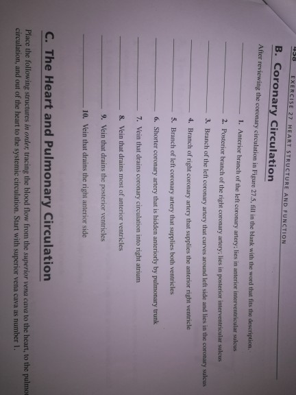 Solved 158 EXERCISE 27 HEART STRUCTURE AND FUNCTION B. | Chegg.com