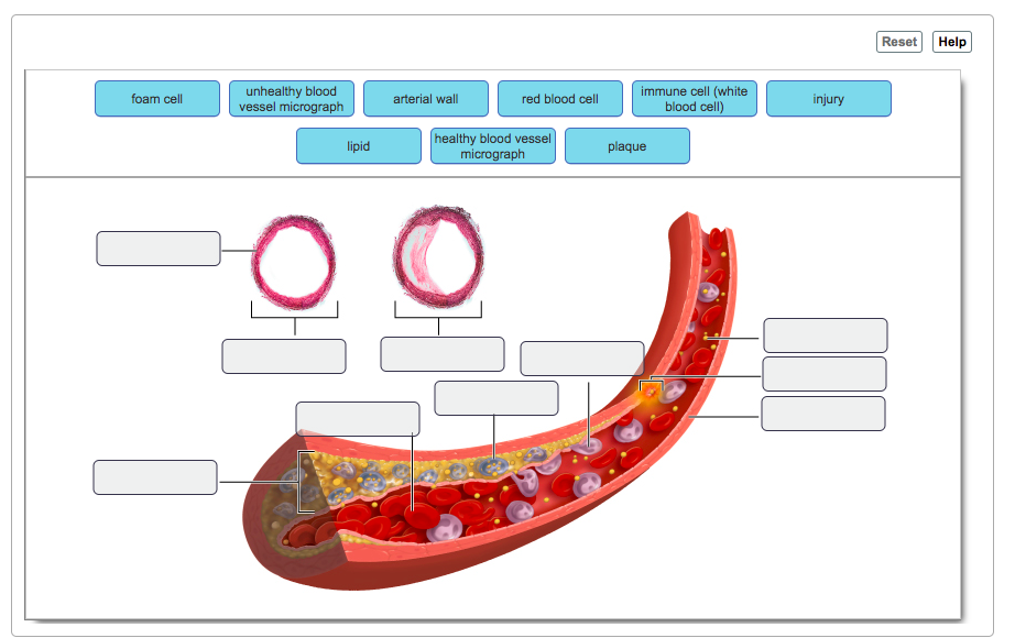 Solved It’s important to recognize and understand the | Chegg.com