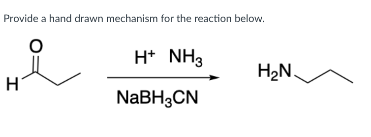 Solved Provide a hand drawn mechanism for the reaction | Chegg.com