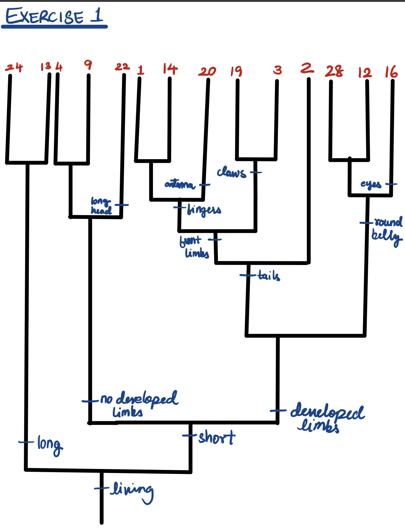 I have attached my answer from Exercise 1, 2, and 3 | Chegg.com