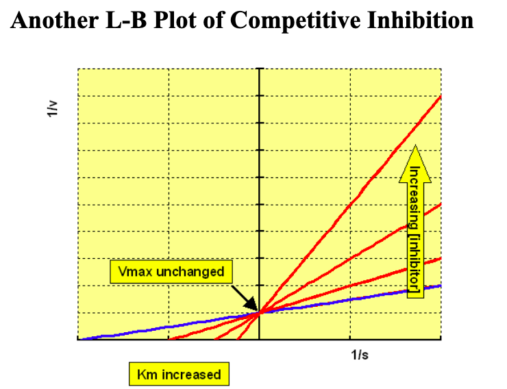 Solved Can someone please explain to me how to understand | Chegg.com