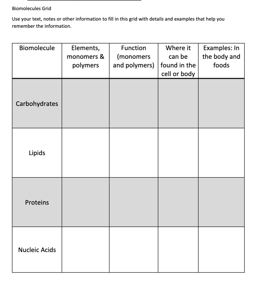 Solved Biomolecules GridUse your text, notes or other | Chegg.com