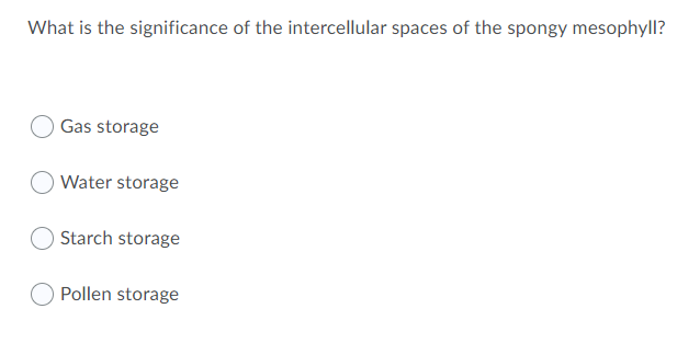 Solved What is the significance of the intercellular spaces | Chegg.com