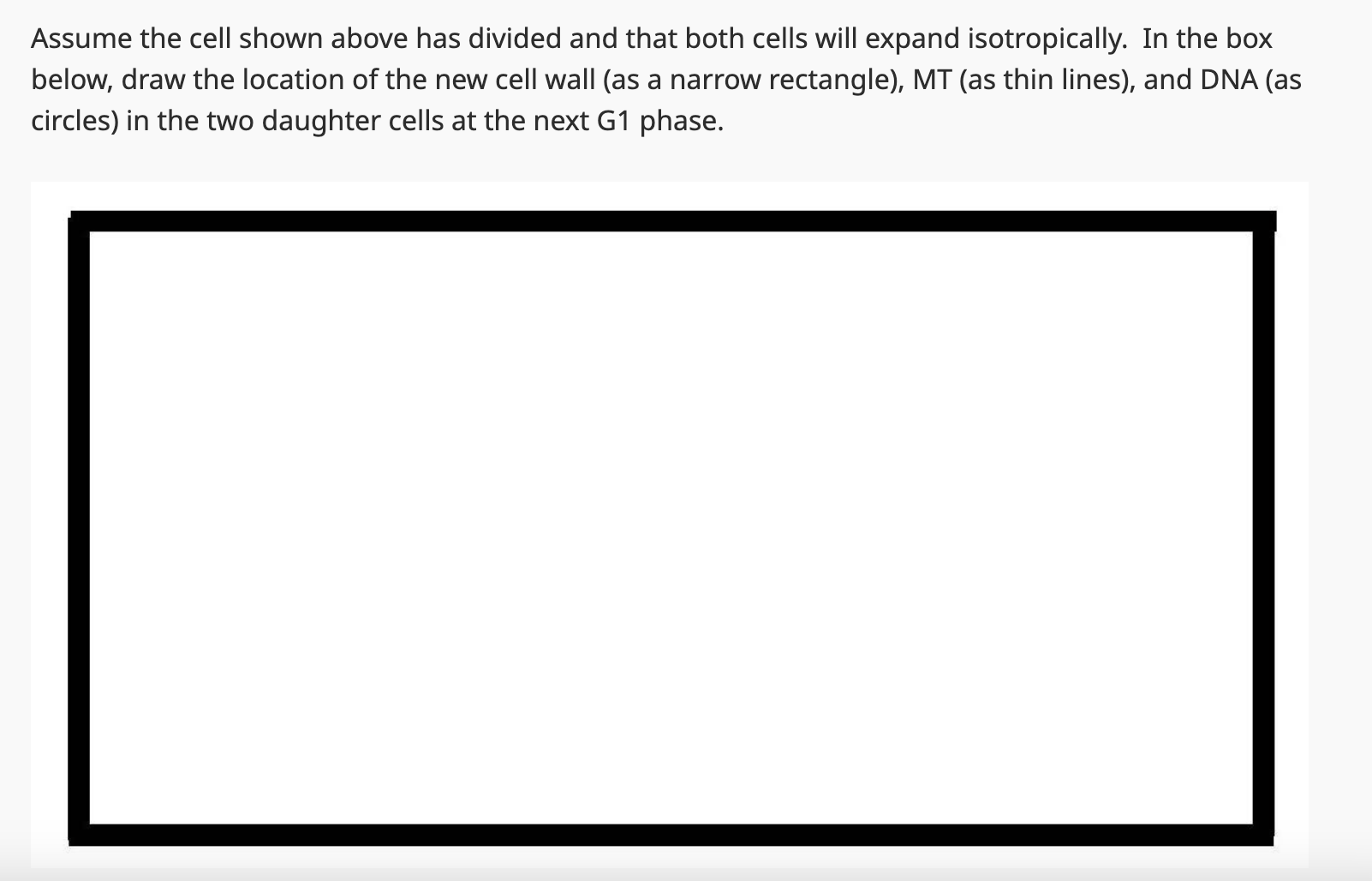 Solved Assume the cell shown above has divided and that both | Chegg.com