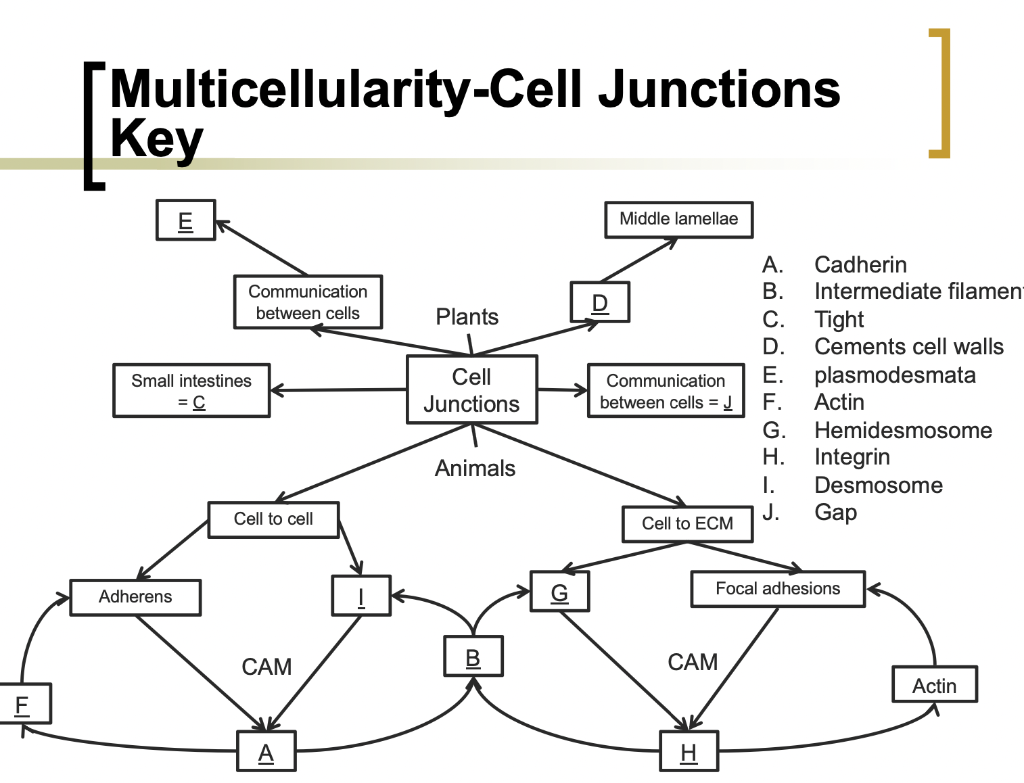 Solved Complete and type out in prose (paragraph format) | Chegg.com