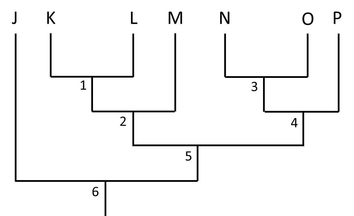 Solved Which of the following are ACCURATE about the | Chegg.com