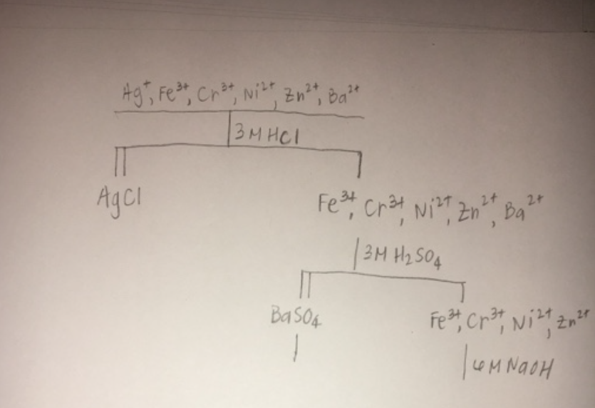 Solved I need to develop a flowchart. The cations can be: | Chegg.com