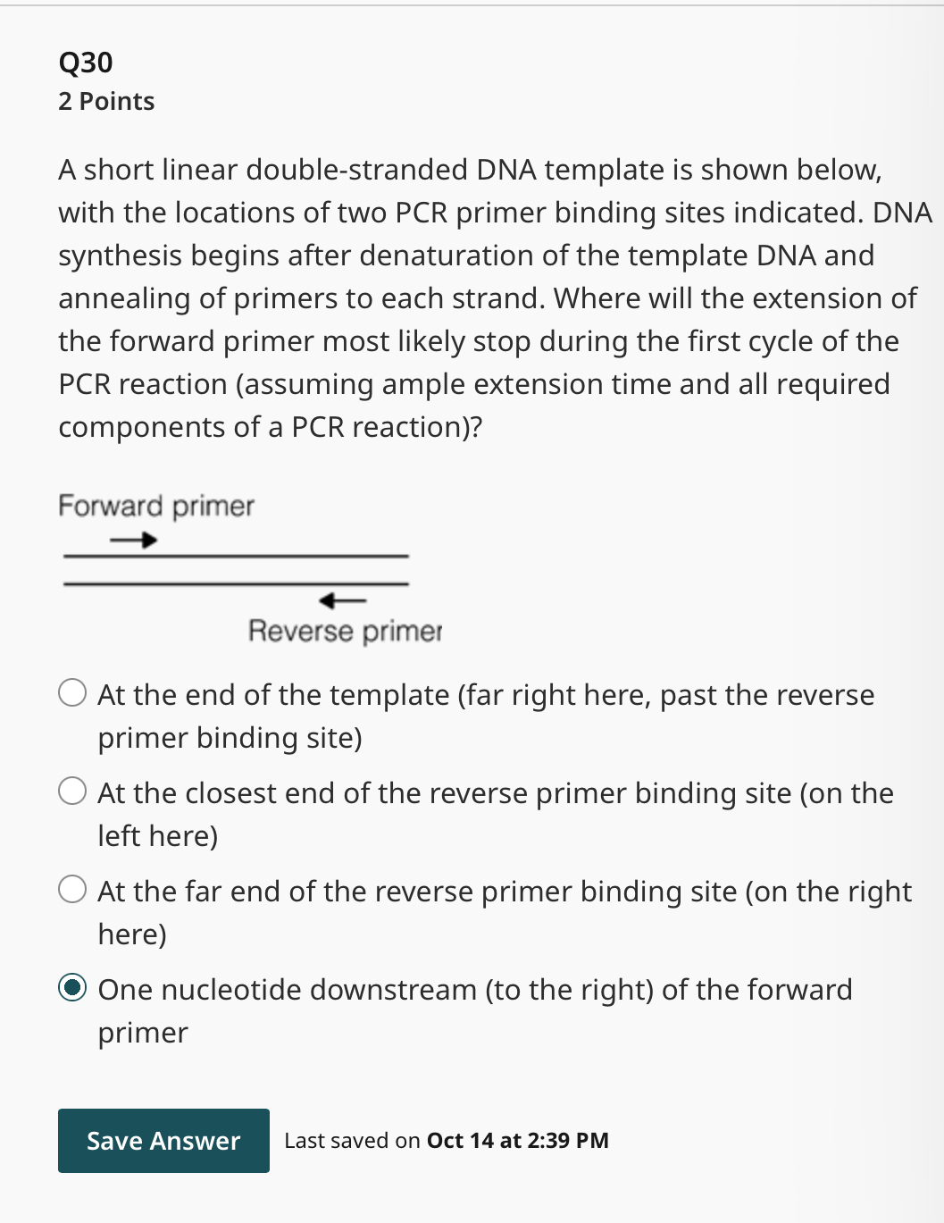 Solved Q30 2 Points A short linear double-stranded DNA | Chegg.com