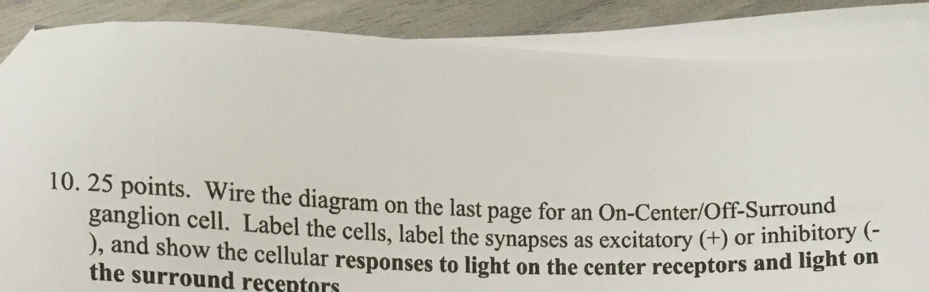 ganglion cell, Label the cells, label the synapses as | Chegg.com