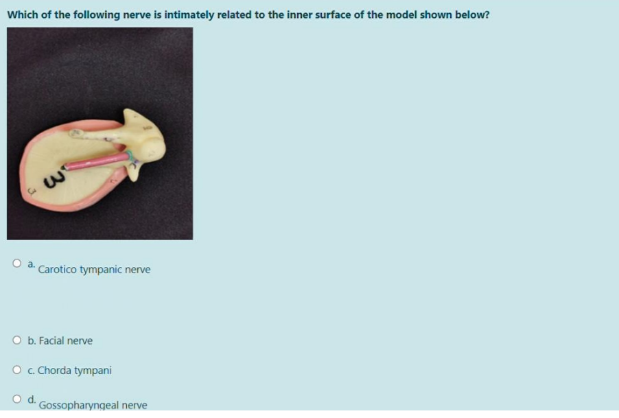 Solved Convergence of the eyes, constriction of the pupils | Chegg.com