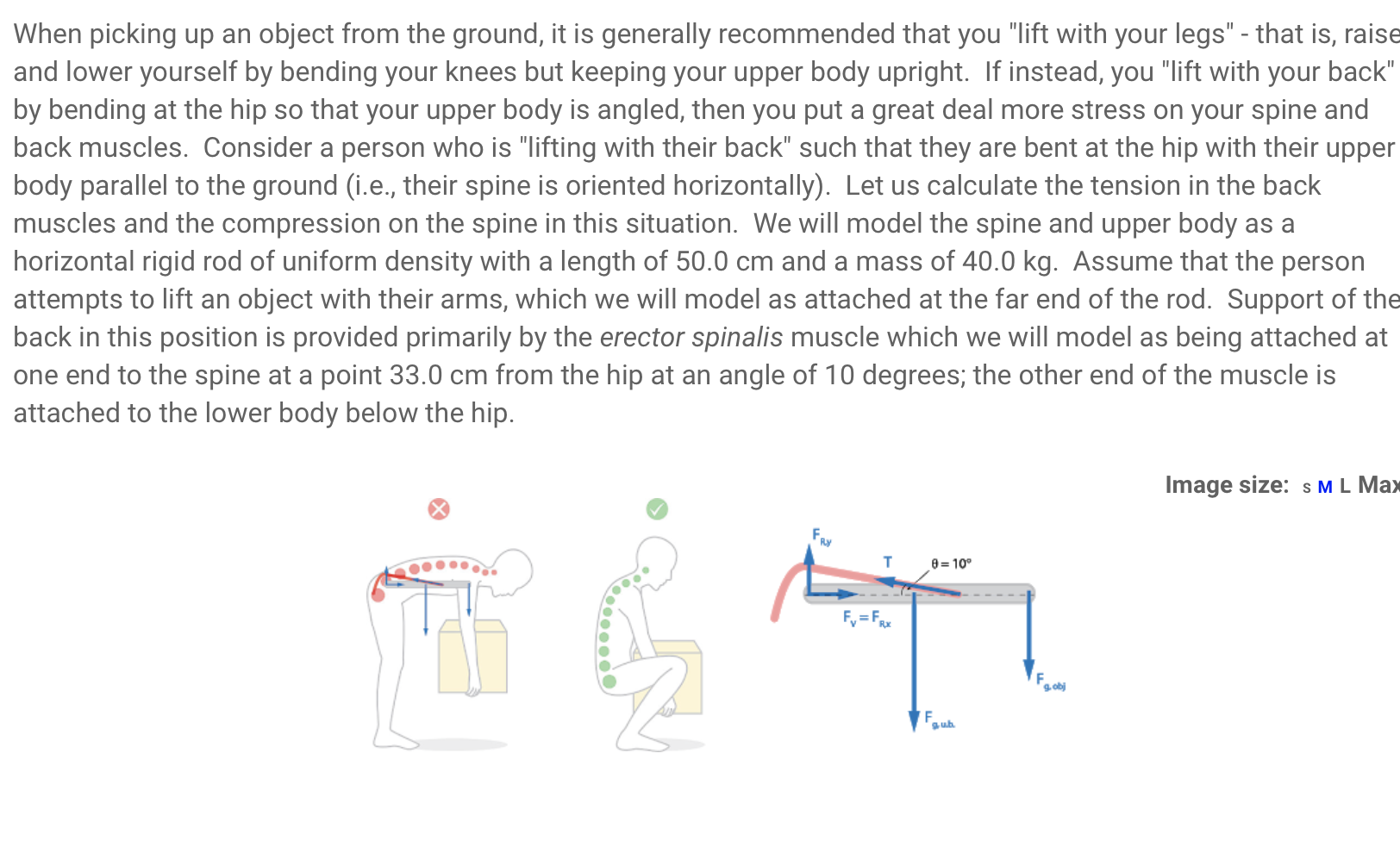 Solved When picking up an object from the ground, it is | Chegg.com