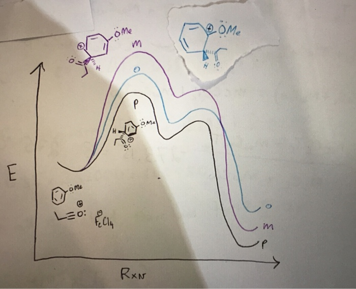 Solved Question: How is it possible for H2OCl+ to be the | Chegg.com