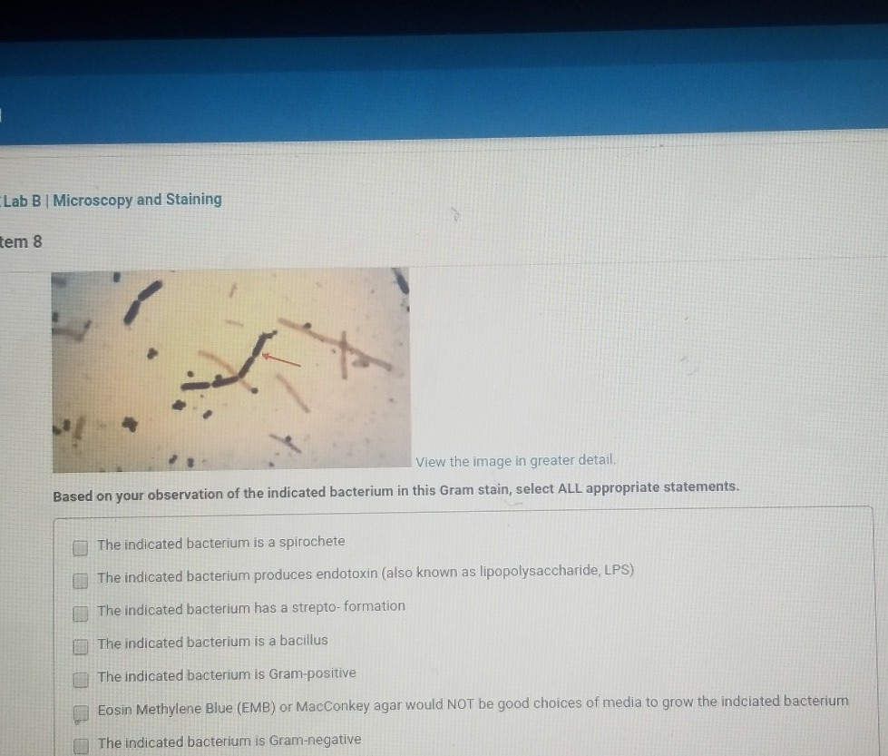 Solved Lab B | Microscopy and Staining tem 8 View the image | Chegg.com