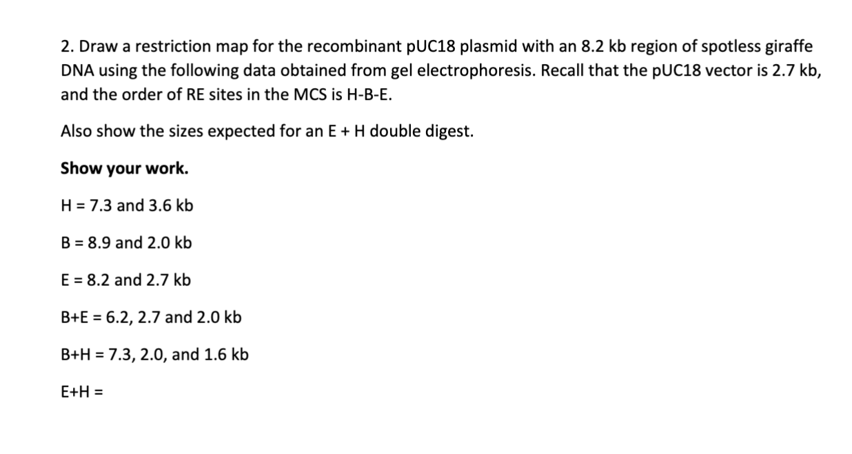 Solved 2. Draw a restriction map for the recombinant pUC18 | Chegg.com