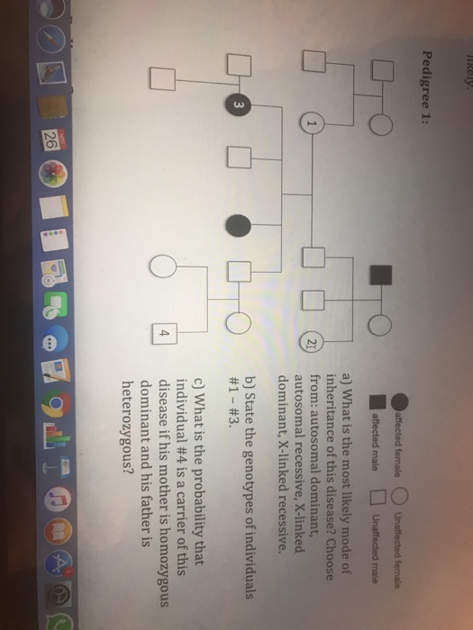 Solved Pedigree 1: Unaffected female Unaffected male a) What | Chegg.com