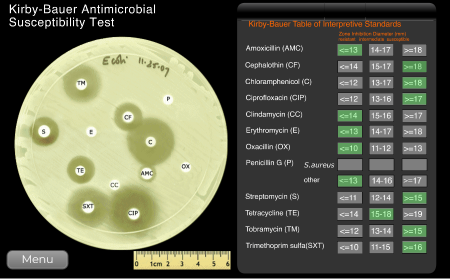 Solved Kirby-Bauer Antimicrobial Susceptibility Test | Chegg.com