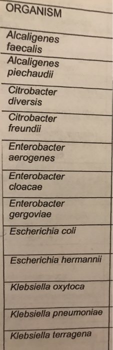 Solved ORGANISM Alcaligenes faecalis Alcaligenes piechaudii | Chegg.com