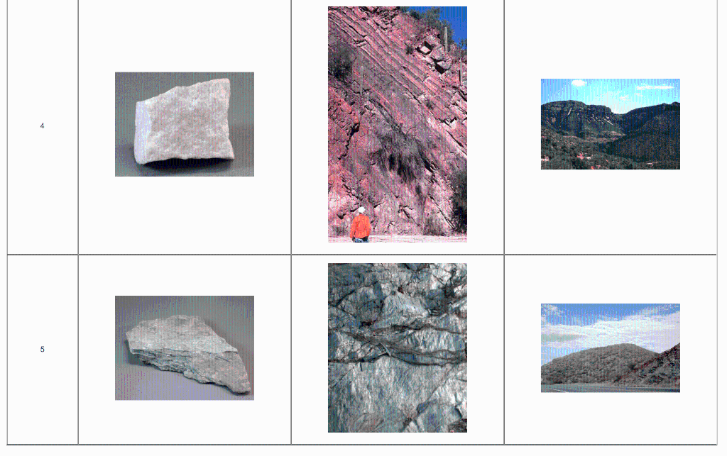 Solved Sample Number Hand Sample Field, Close up Field, | Chegg.com