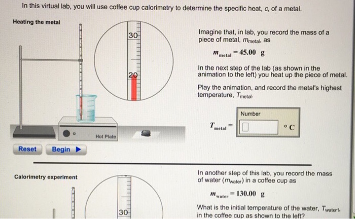 Solved In this virtual lab, you will use coffee cup | Chegg.com