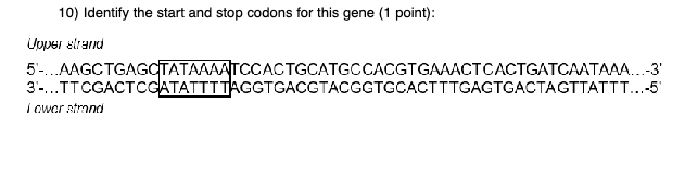 Solved 10) Identify the start and stop codons for this gene | Chegg.com